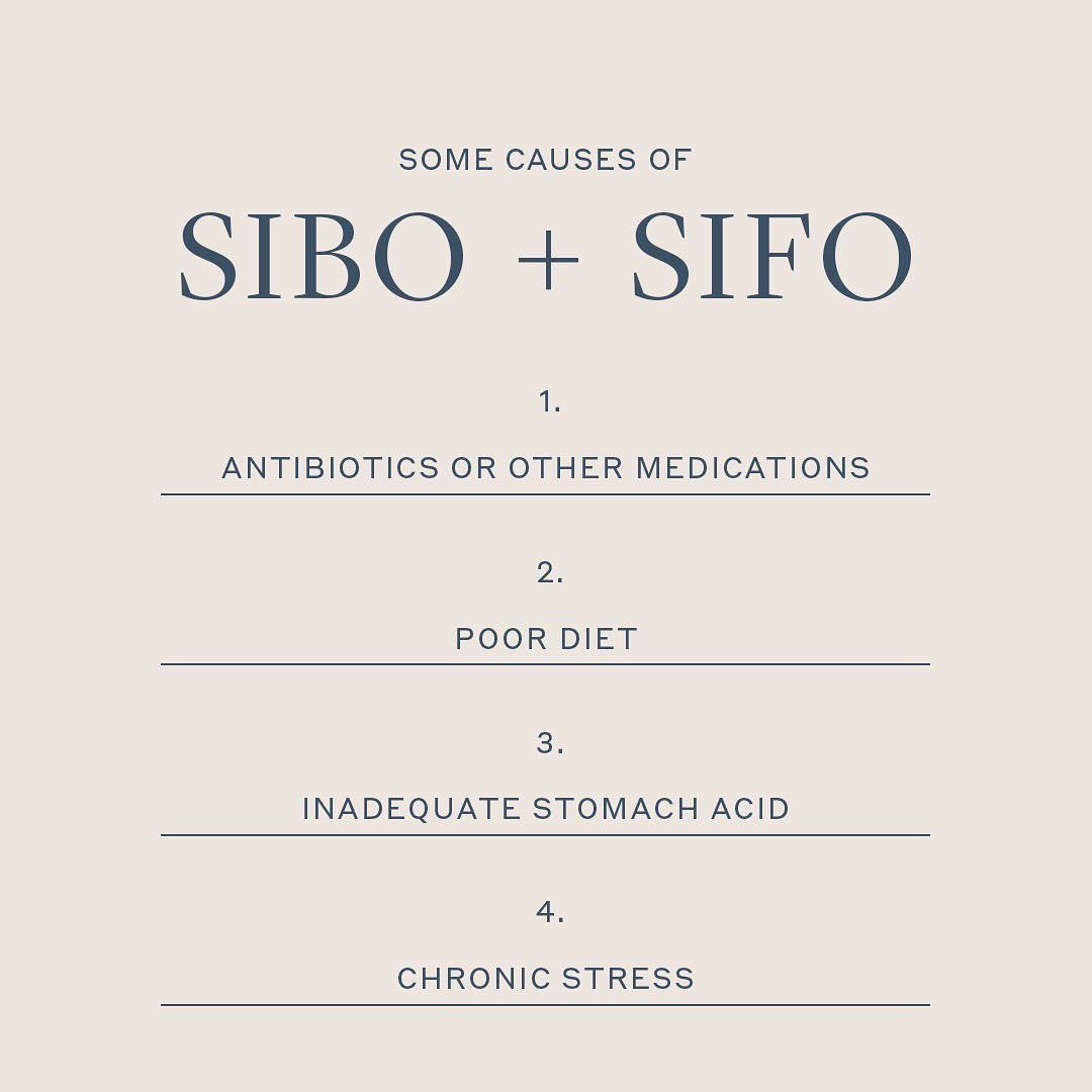 All About SIBO and SIFO | THE WELL