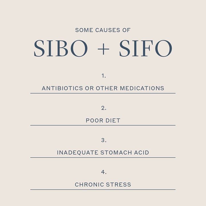 All About SIBO and SIFO | THE WELL