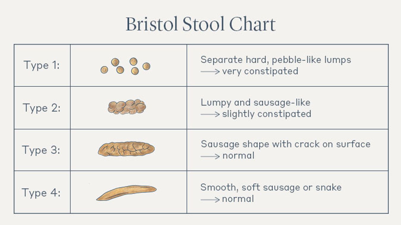 Decoding Your Digestion | THE WELL