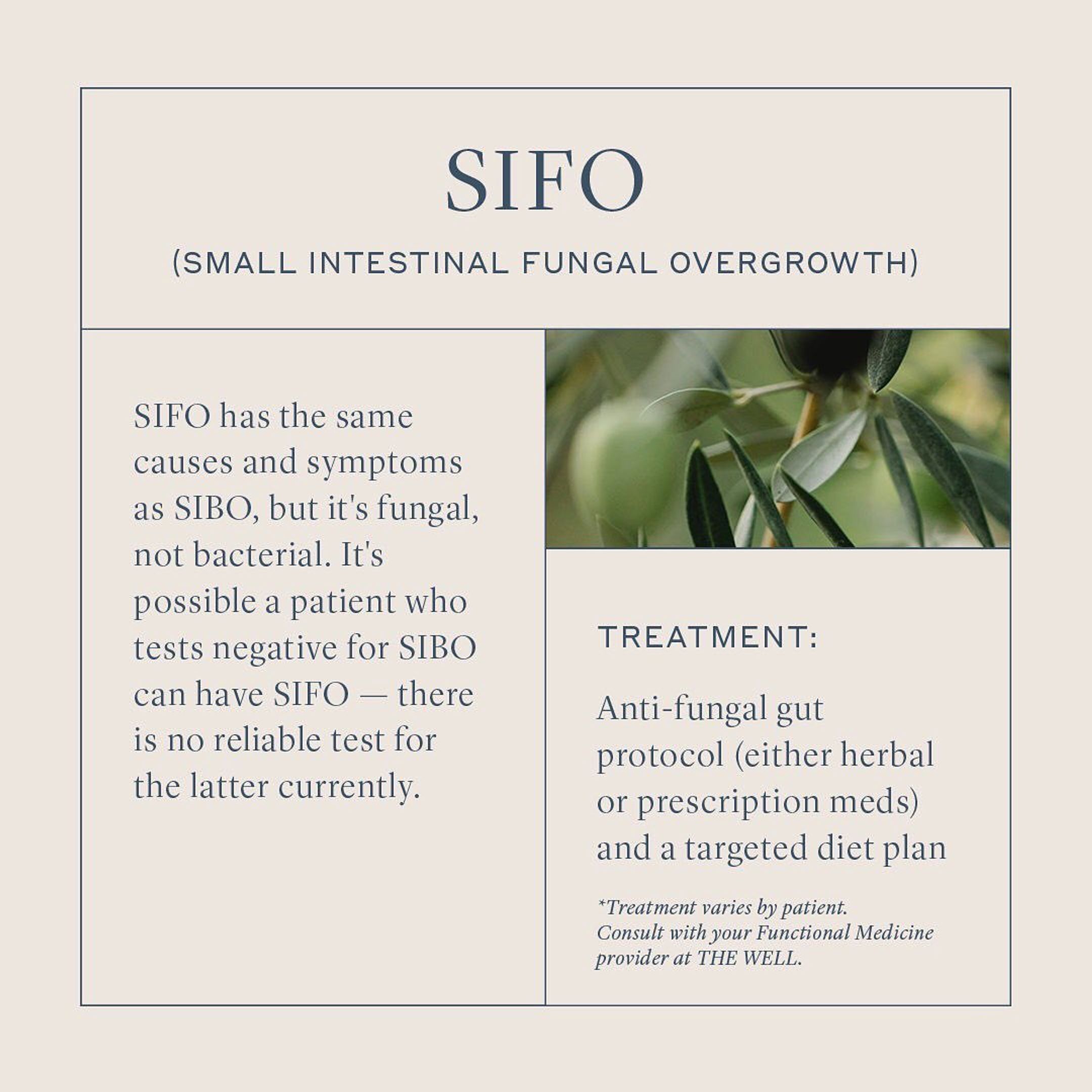 All About SIBO and SIFO | THE WELL