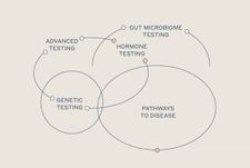 All About Advanced Diagnostic Testing | THE WELL