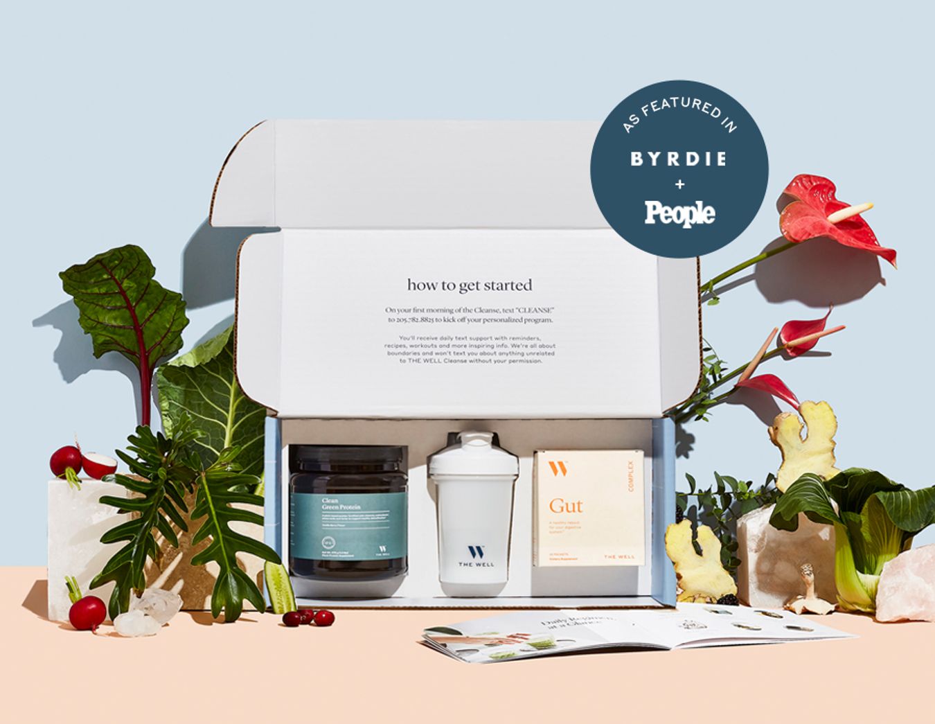 Why We're Drawn to Starting Fresh — And How to Actually Do It | THE WELL